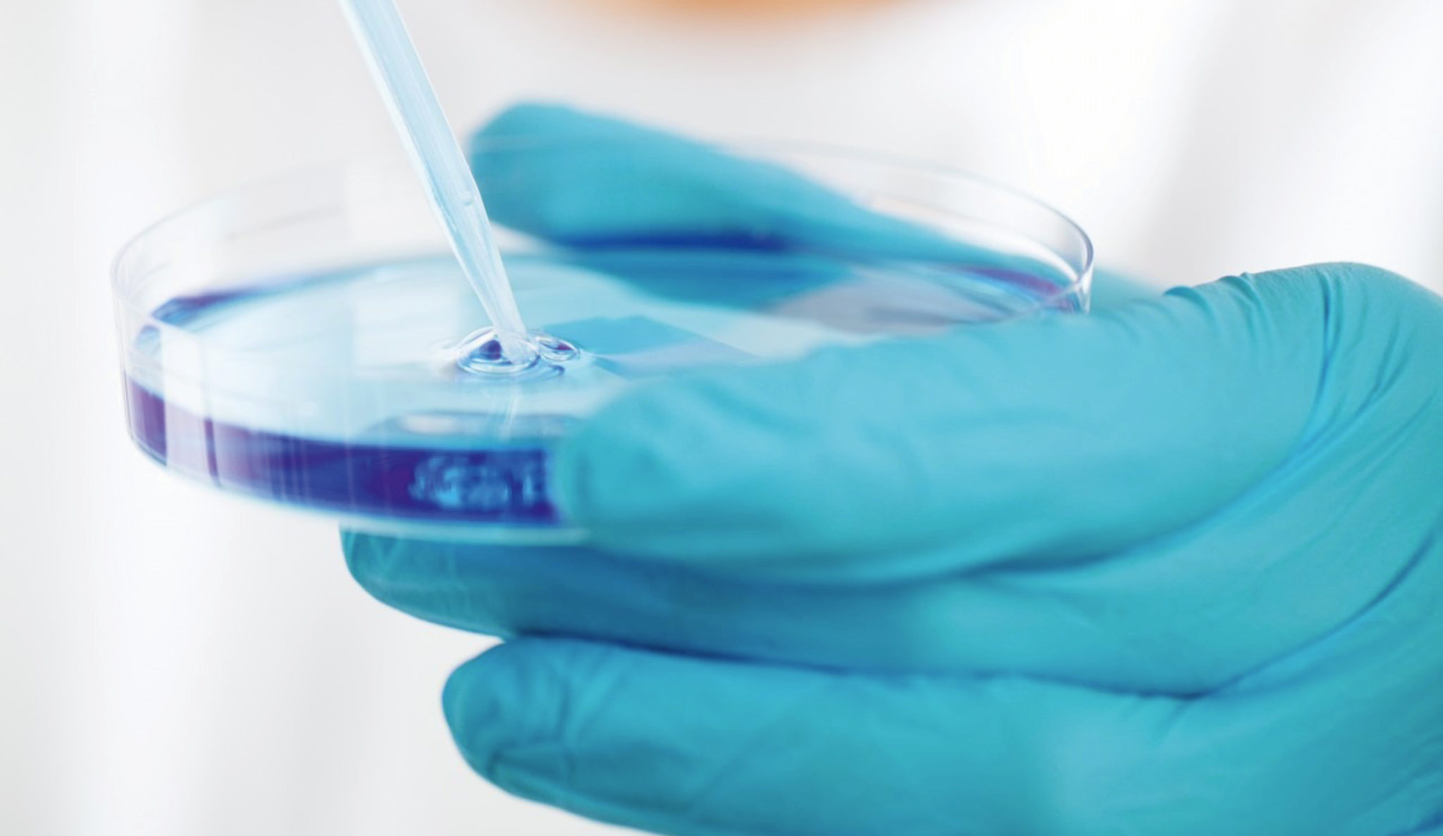 Cell culture handling – muVaP